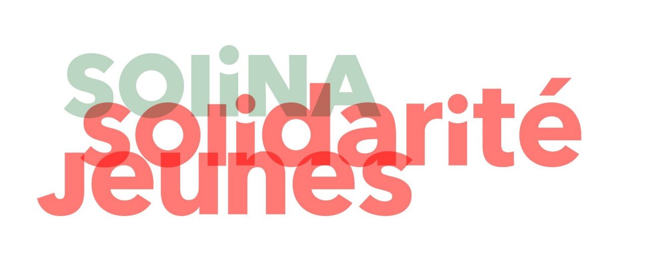 LINK - Mise en réseau socioprofessionnel - Fonds européens - Luxembourg